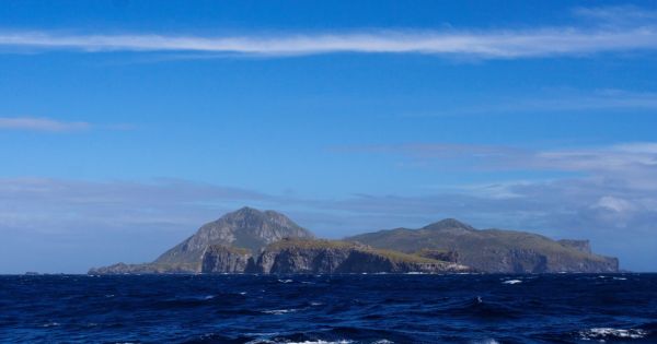 Gough-Insel: Geheimtipp im Atlantik