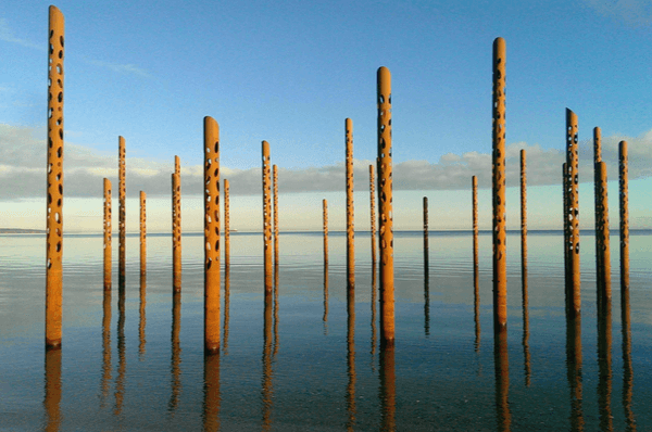 Fredericia: Wal-Safari, Planstadt & Ostseestrände