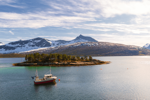 Narvik: Kreuzfahrten & Sehenswürdigkeiten