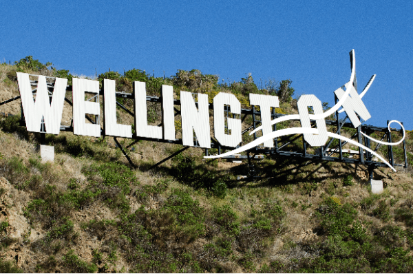 Wellington: Vom Hafen aus Neuseeland erkunden!