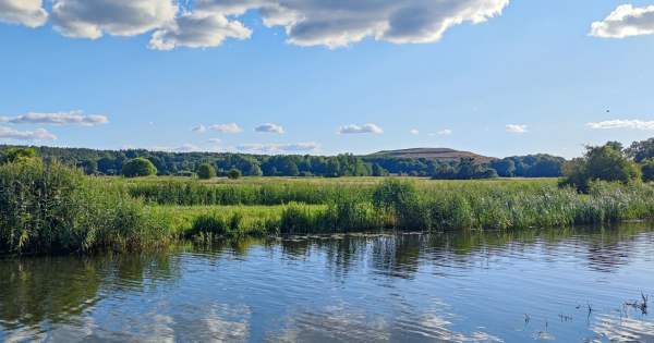 Eberswalde: Waldstadt in Brandenburg