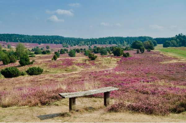 Scharnebeck: Das idyllische Dorf in Norddeutschland